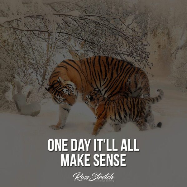 "Finding Clarity In: One Day It Will All Make Sense"