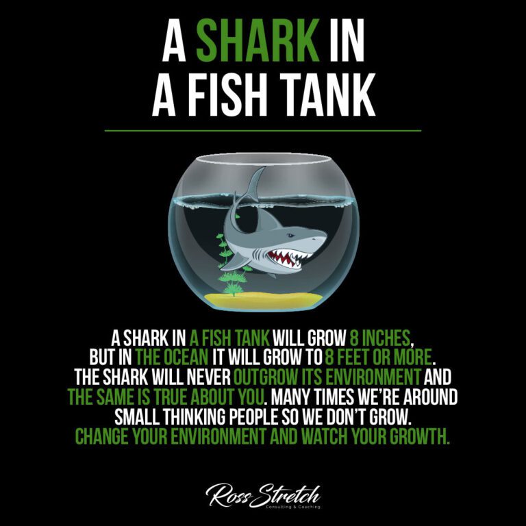 The Growth Mindset: The Shark in a Fish Tank Analogy