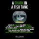 The Growth Mindset: The Shark in a Fish Tank Analogy